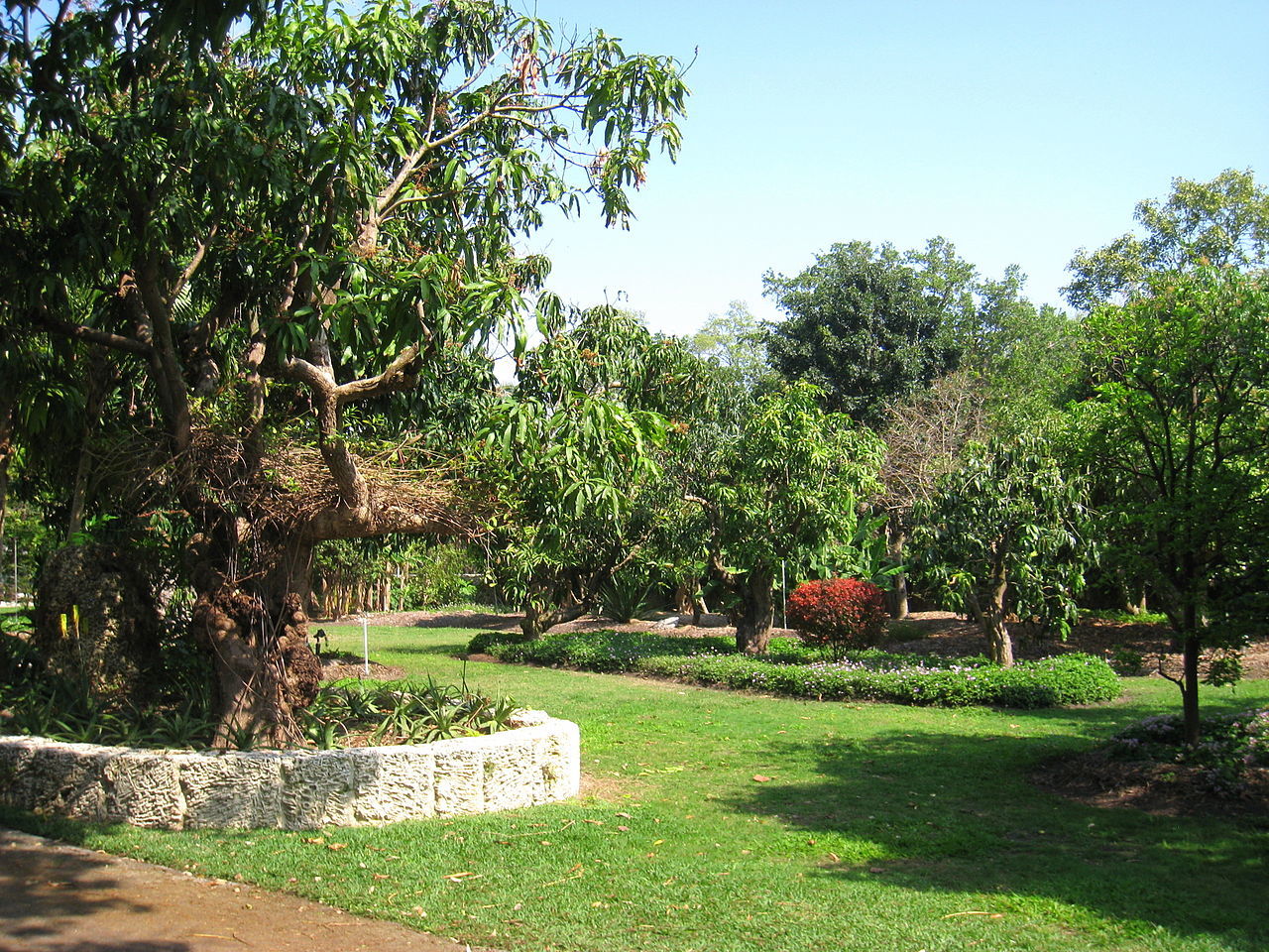 The Kampong : Jardins Botaniques tropicaux et maison des Fairchild à ...