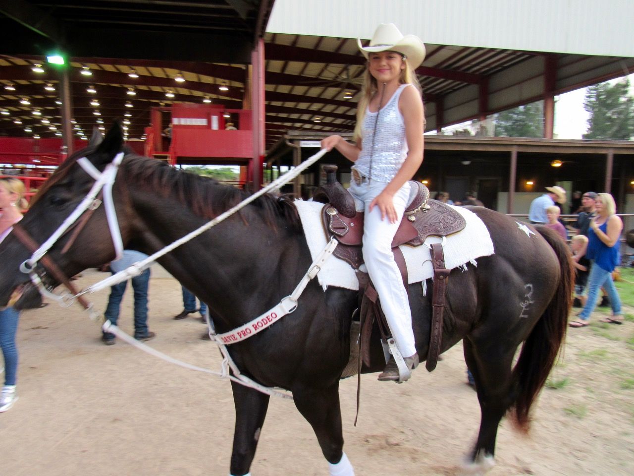 "Pro Rodeo" de Davie : le grand rodéo de Floride ! - Le Courrier des ...