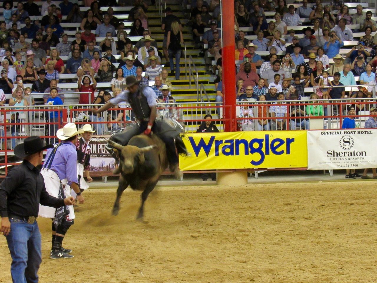 "Pro Rodeo" de Davie : le grand rodéo de Floride ! - Le Courrier des ...