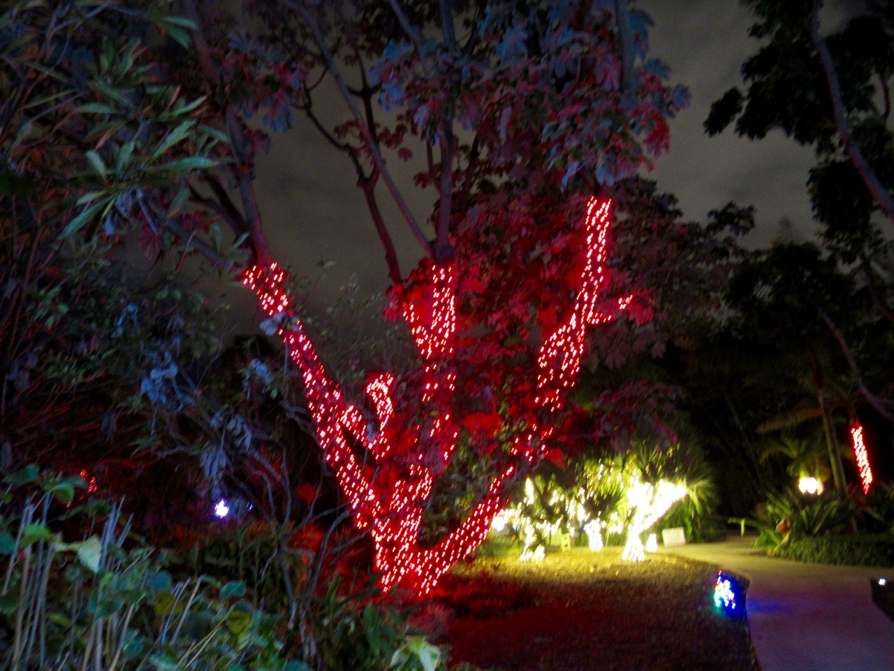 Les illuminations de Noël au Mounts Garden de West Palm Beach | Le ...