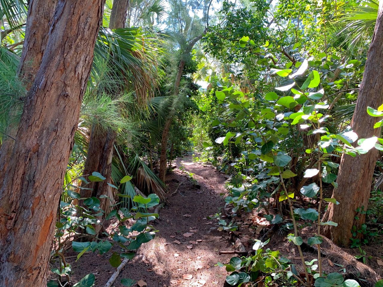 Visiter Deerfield Beach en Floride / Guide de Voyage | Le Courrier des ...