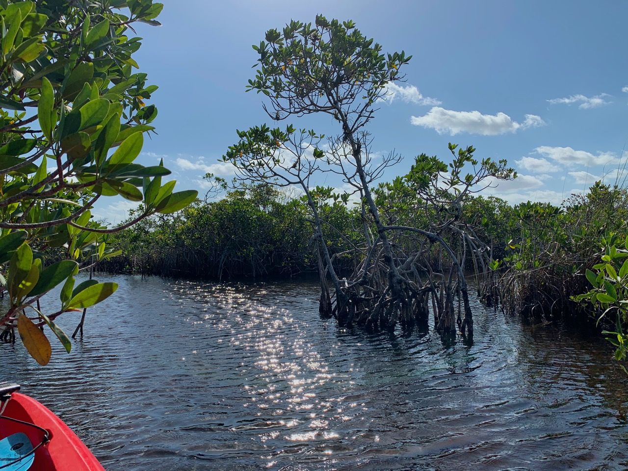 Visiter le Sud des Everglades (entre Florida City et Flamingo) : le ...