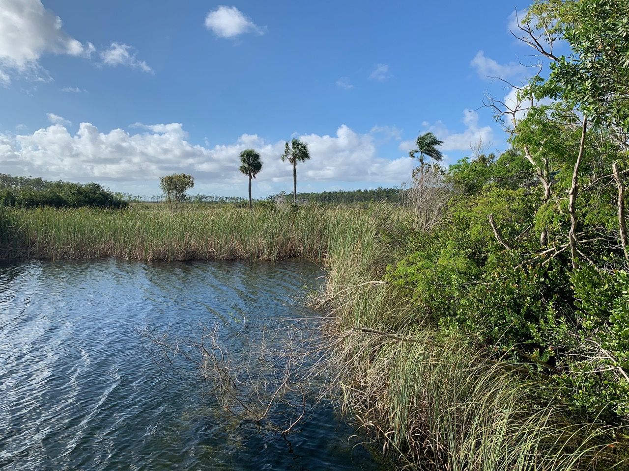 Visiter le Sud des Everglades (entre Florida City et Flamingo) : le ...