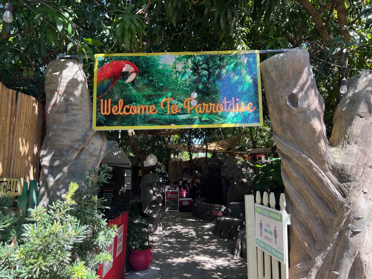 The Girls : un endroit magique à Delray Beach, sous le signe de la ...