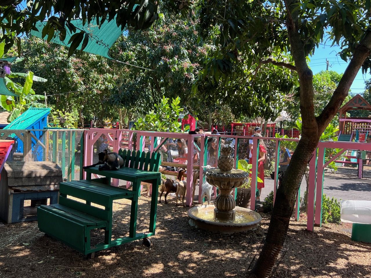 The Girls : un endroit magique à Delray Beach, sous le signe de la ...