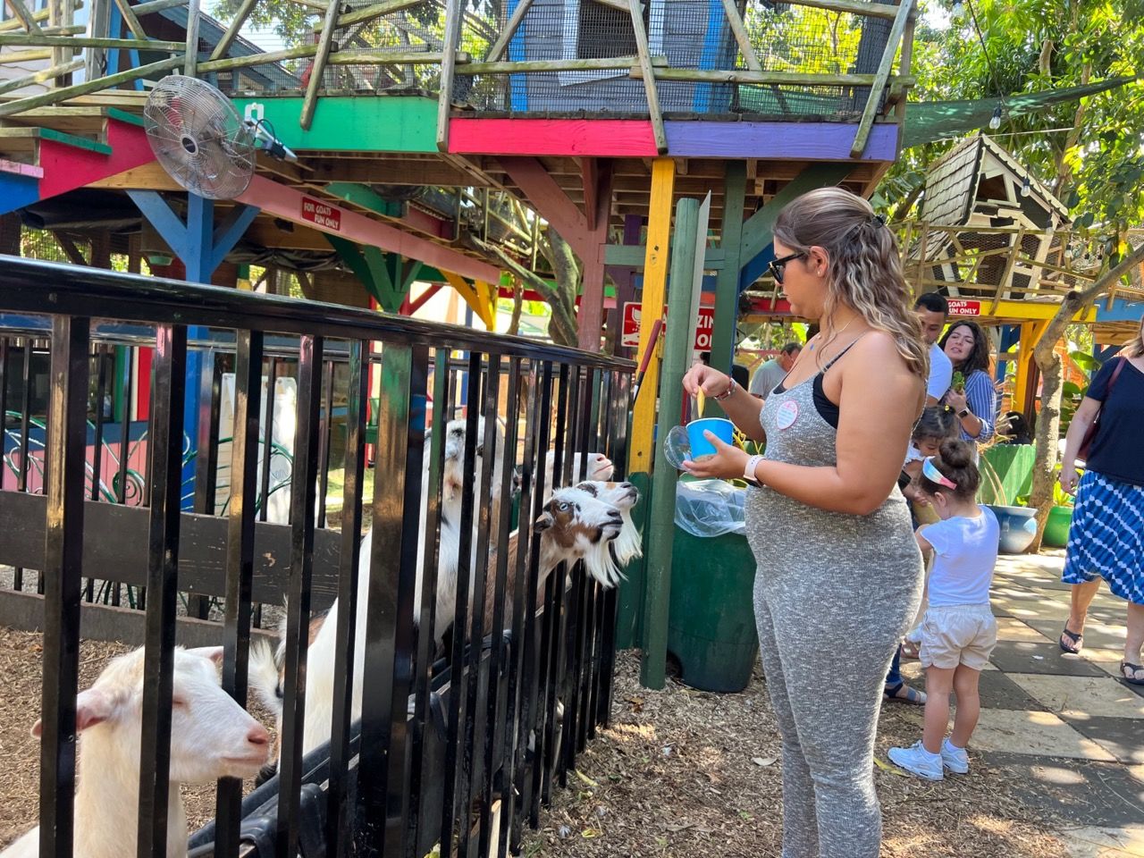 The Girls : un endroit magique à Delray Beach, sous le signe de la ...