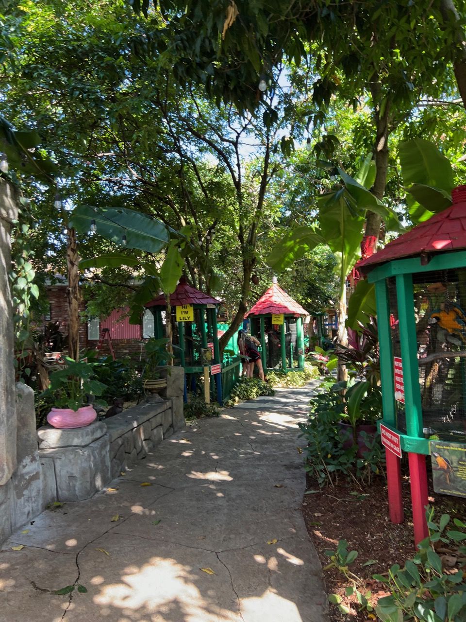 The Girls : un endroit magique à Delray Beach, sous le signe de la ...