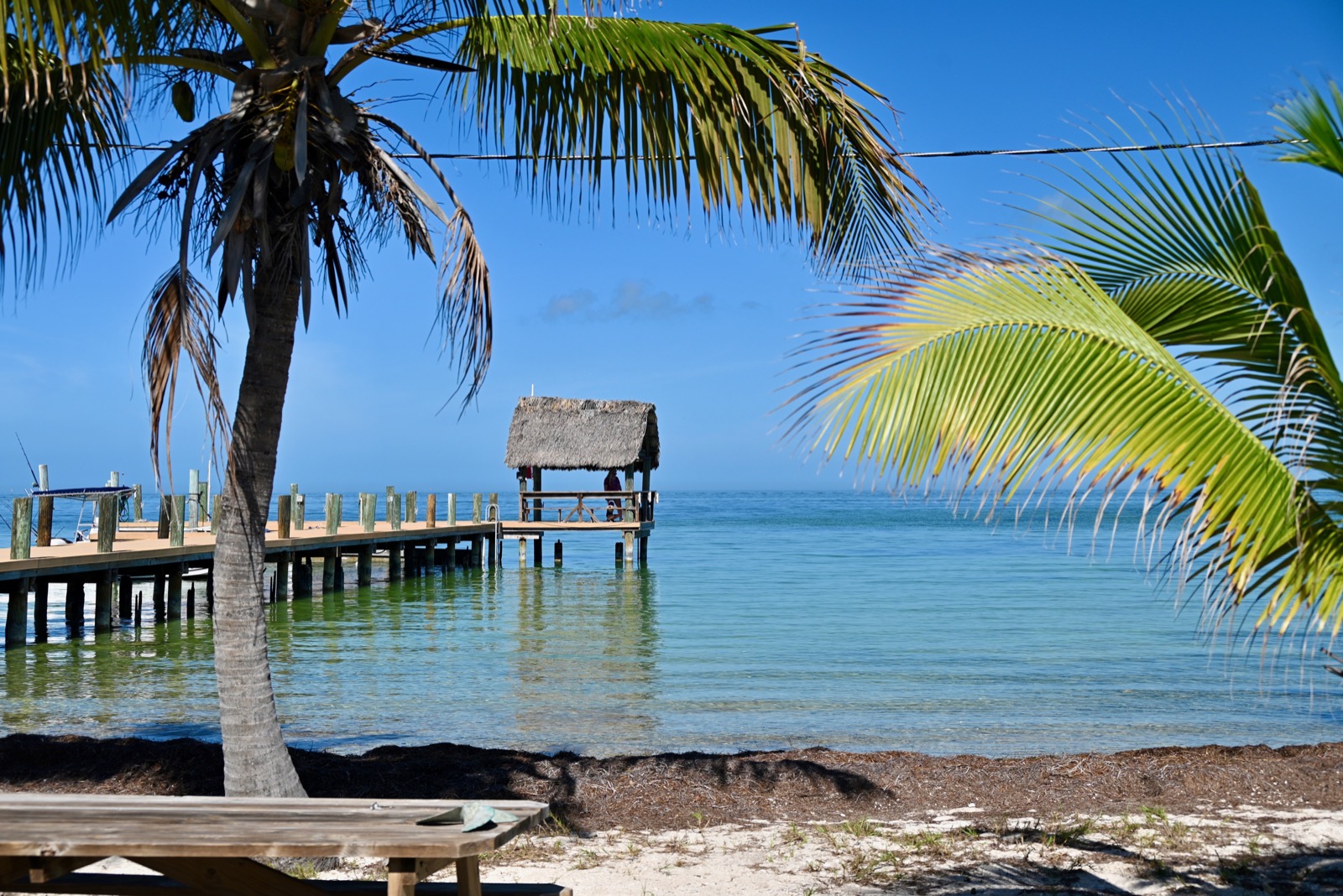 A la découverte de Pigeon Key, petite île sous le Seven Mile Bridge des ...