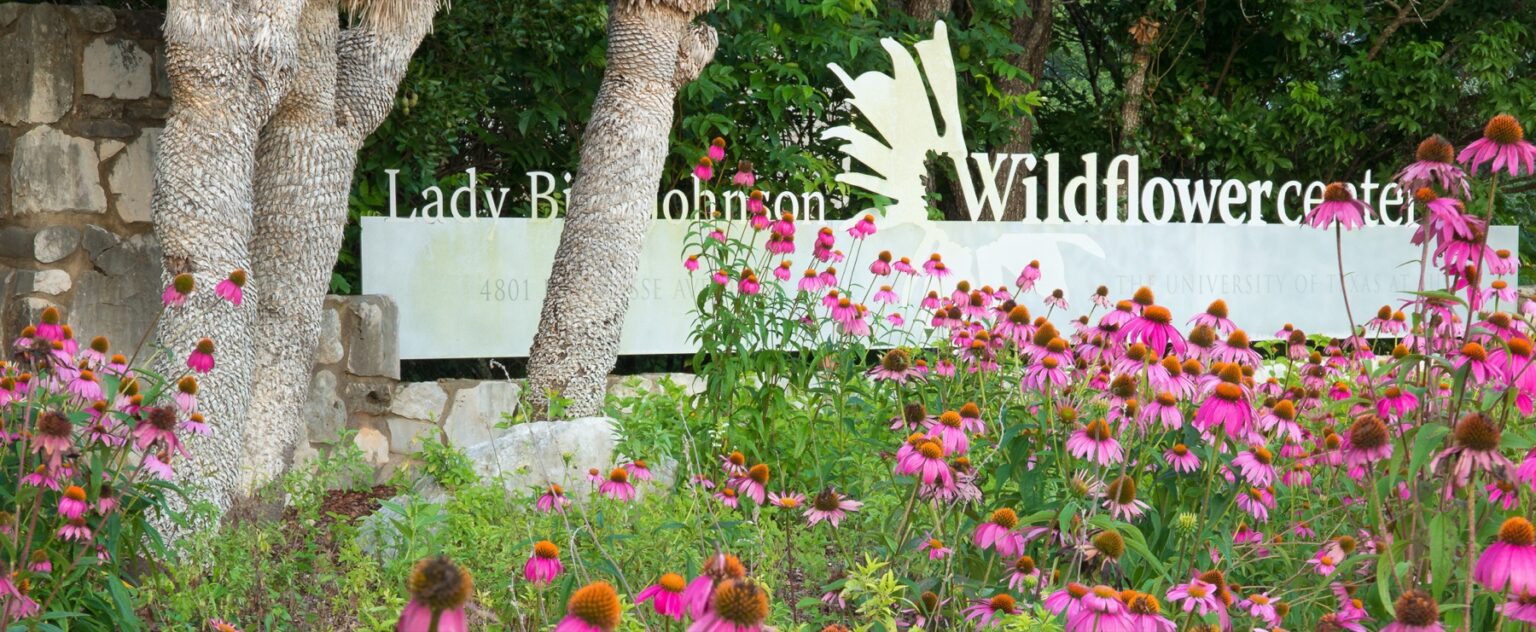 Visiter Austin (Texas) : notre guide de voyage ! - Le Courrier des ...