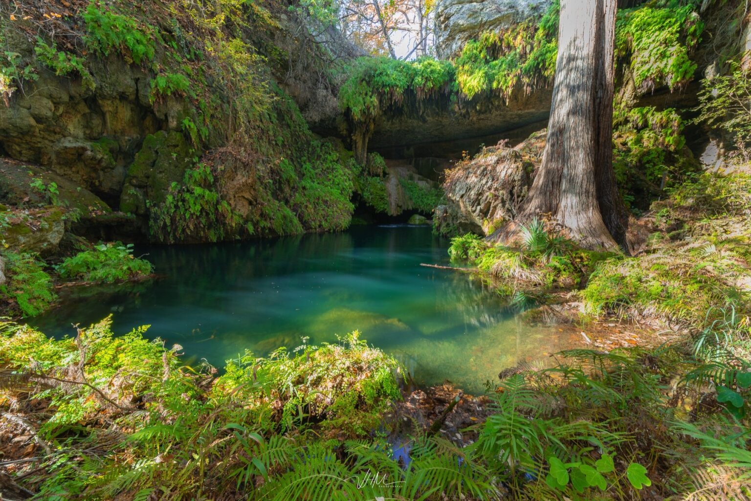 Visiter Austin (Texas) : notre guide de voyage ! - Le Courrier des ...