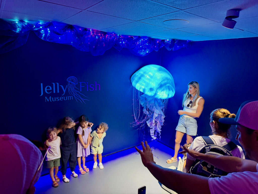 Jellyfish Museum de Pompano Beach : plongez au milieu des méduses (sans ...
